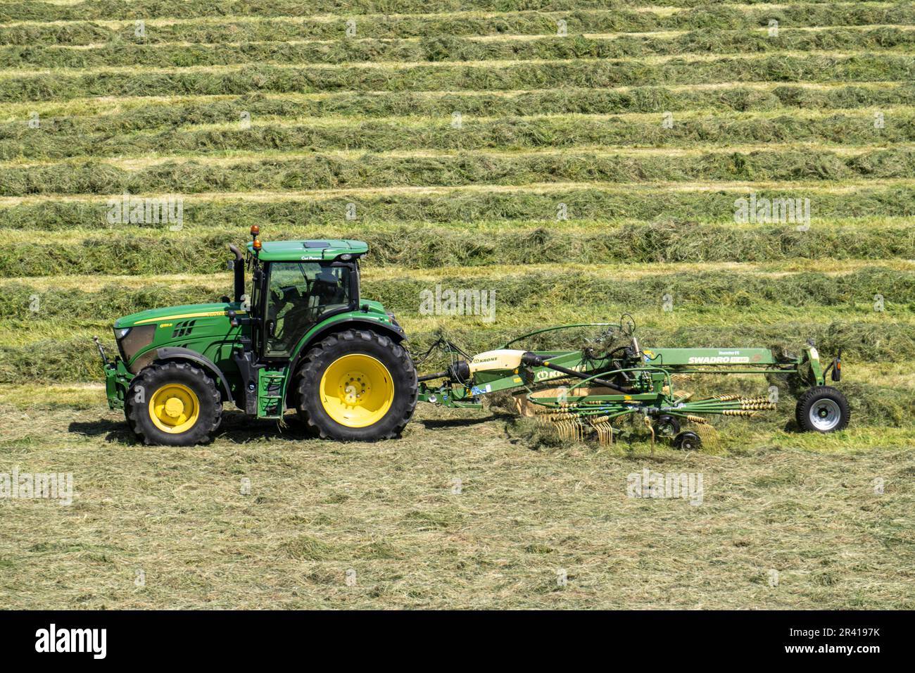 Hay harvesting, in a meadow near Duisburg-Baerl, tractor with ...
