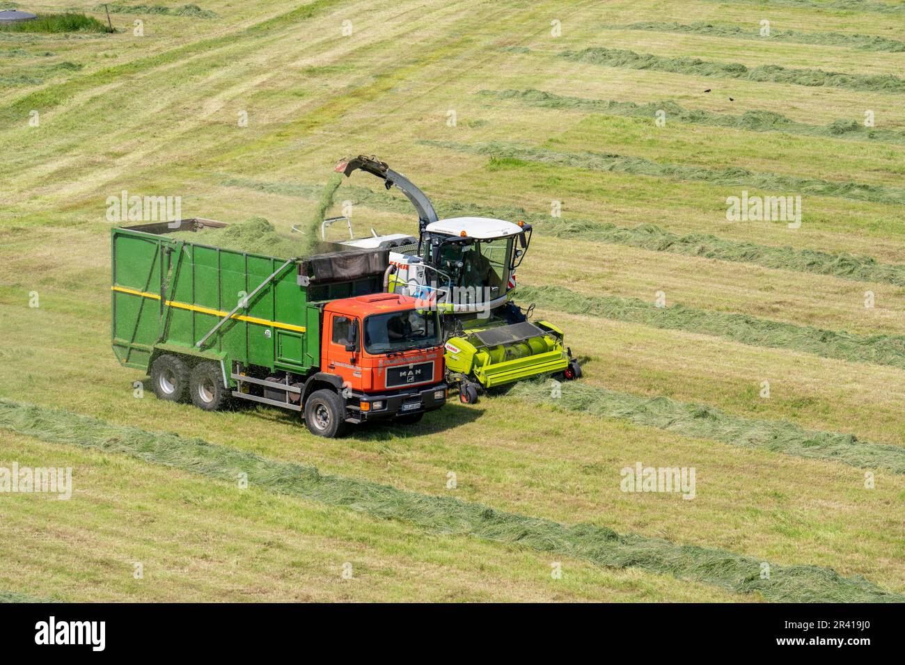 Farmers cutting harvesting hay hi-res stock photography and images - Alamy