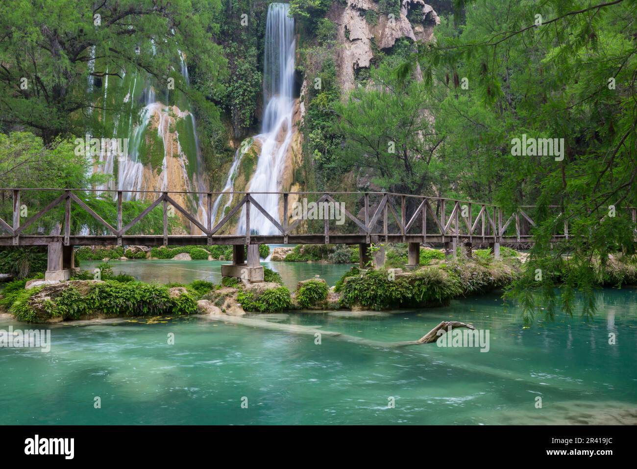 Waterfall in Mexico Stock Photo - Alamy
