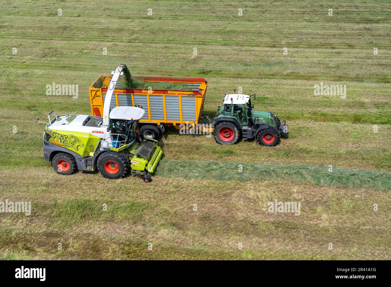 Team keesen hi-res stock photography and images - Alamy