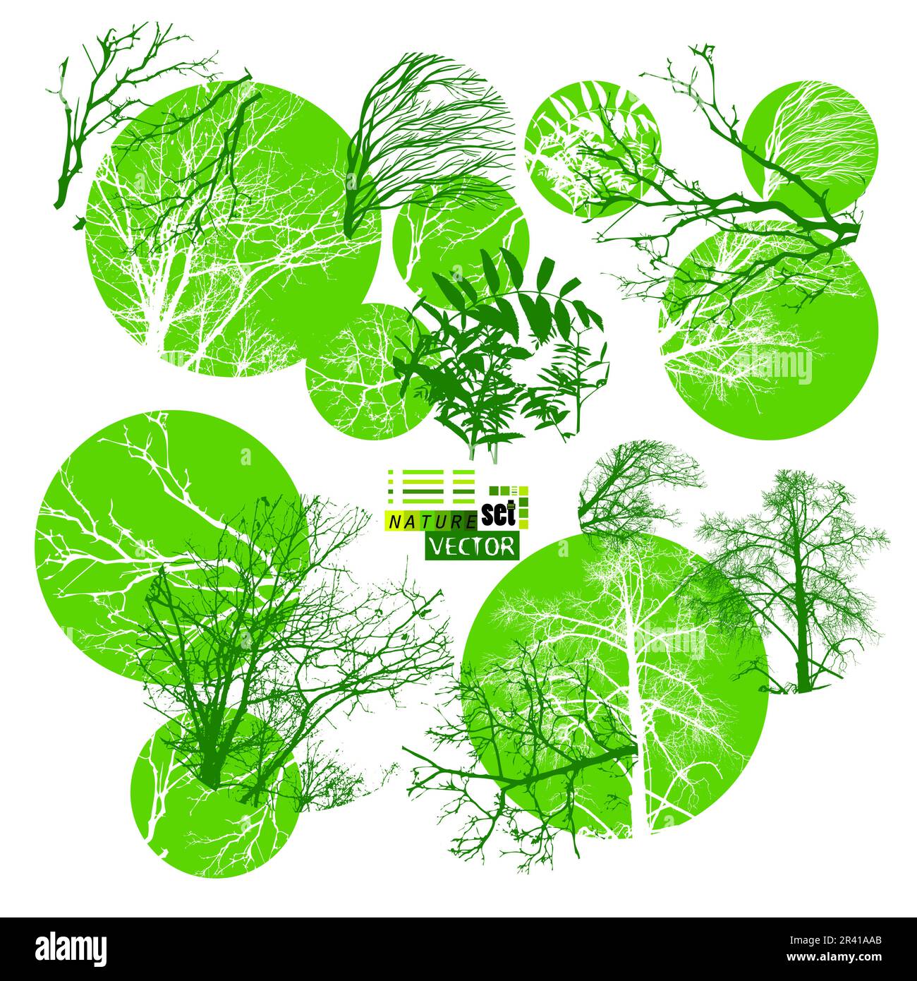 Objects trees are round. Tree green branch tracing. Vector illustration ...