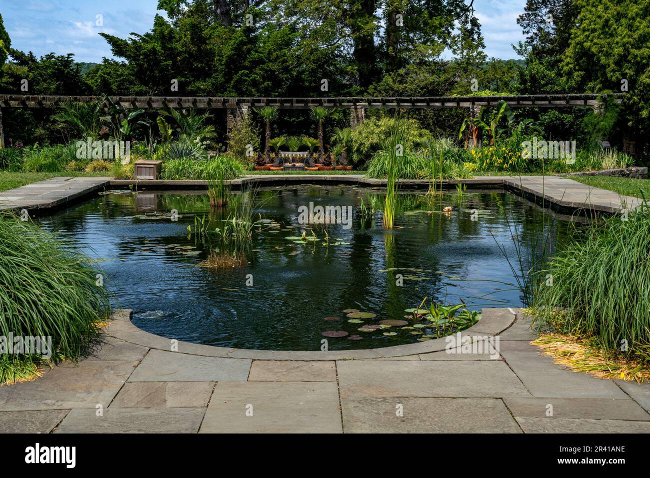 Bronx, NY - USA - May 21,2023 The Aquatic Garden’s rectangular pool ...