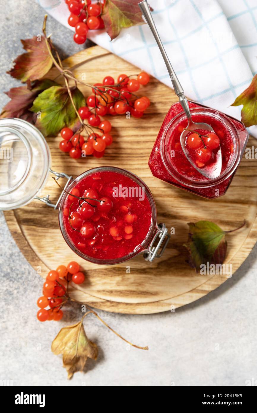 Preparation vitamin berry viburnum tea hi-res stock photography and ...