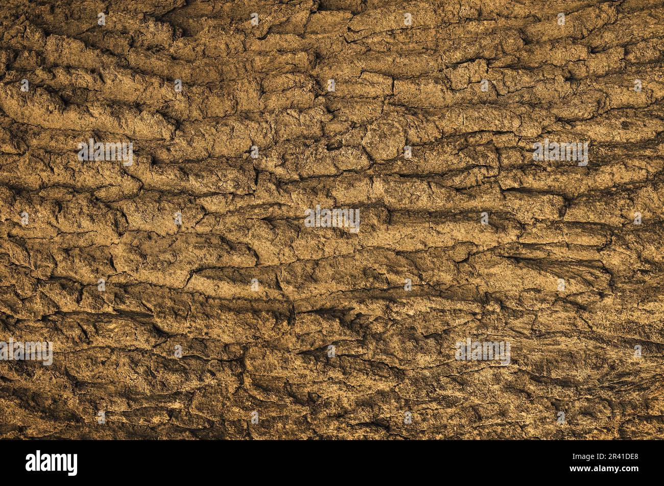 Tree dirty hi-res stock photography and images - Alamy