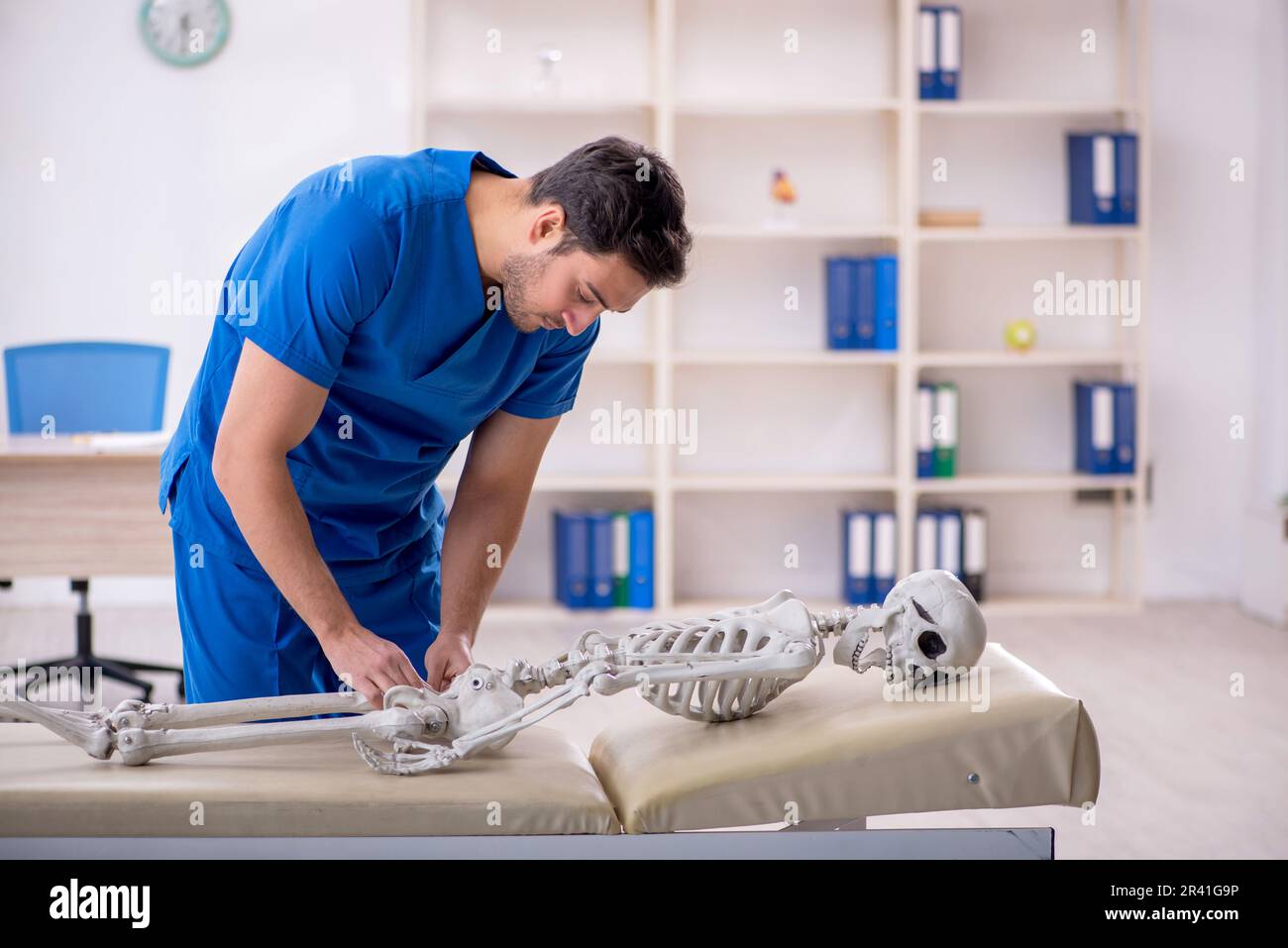 Male osteopath examining human skeleton hi-res stock photography and ...