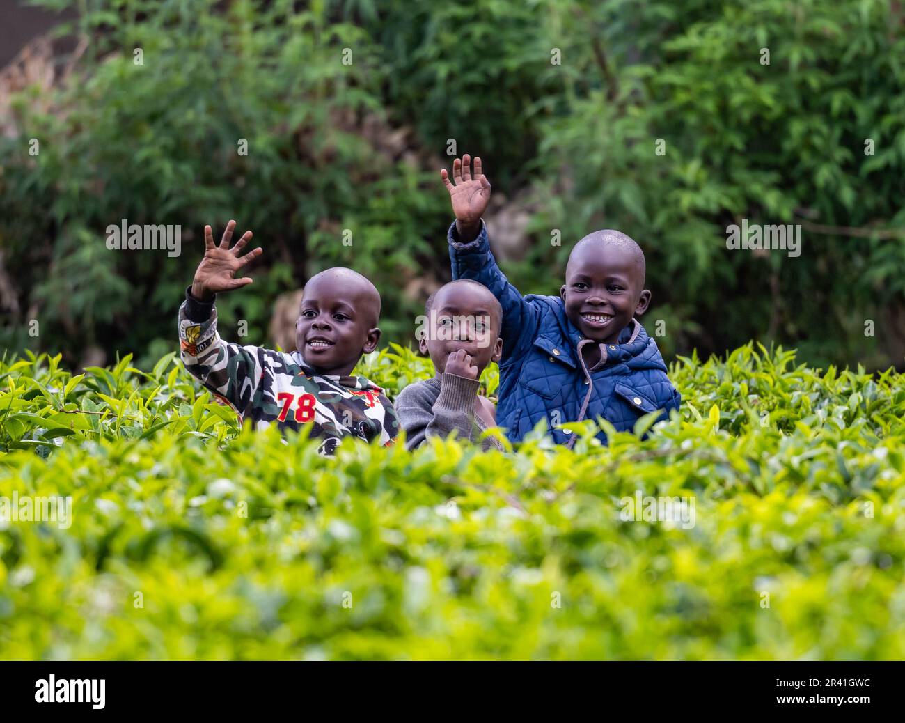 Three cheerful little boys wave their hands. Kenya, Africa Stock Photo ...