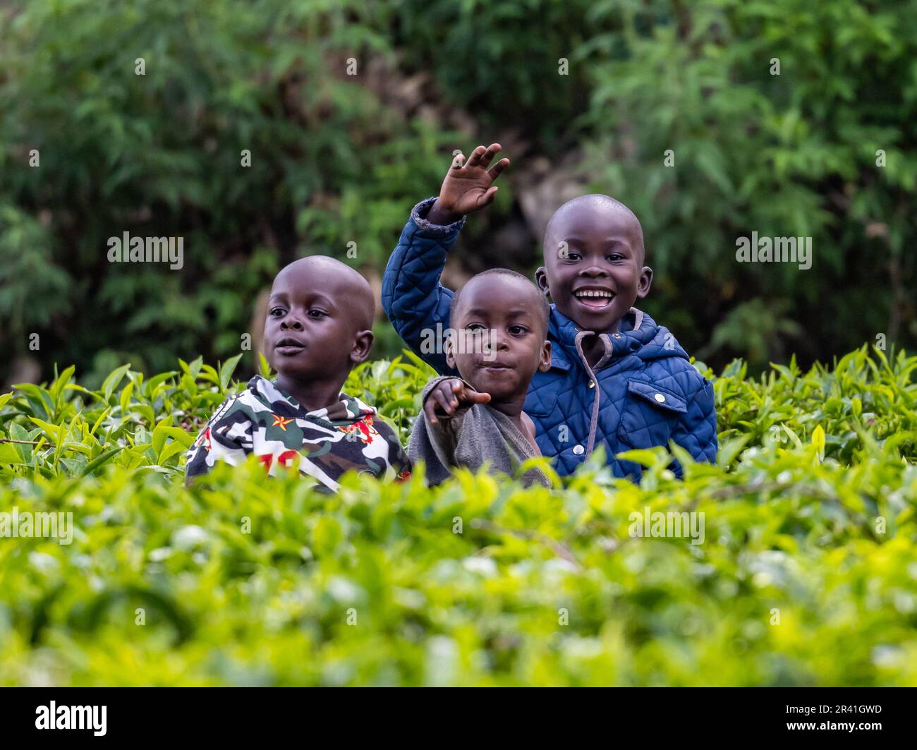 Three cheerful little boys wave their hands. Kenya, Africa Stock Photo ...