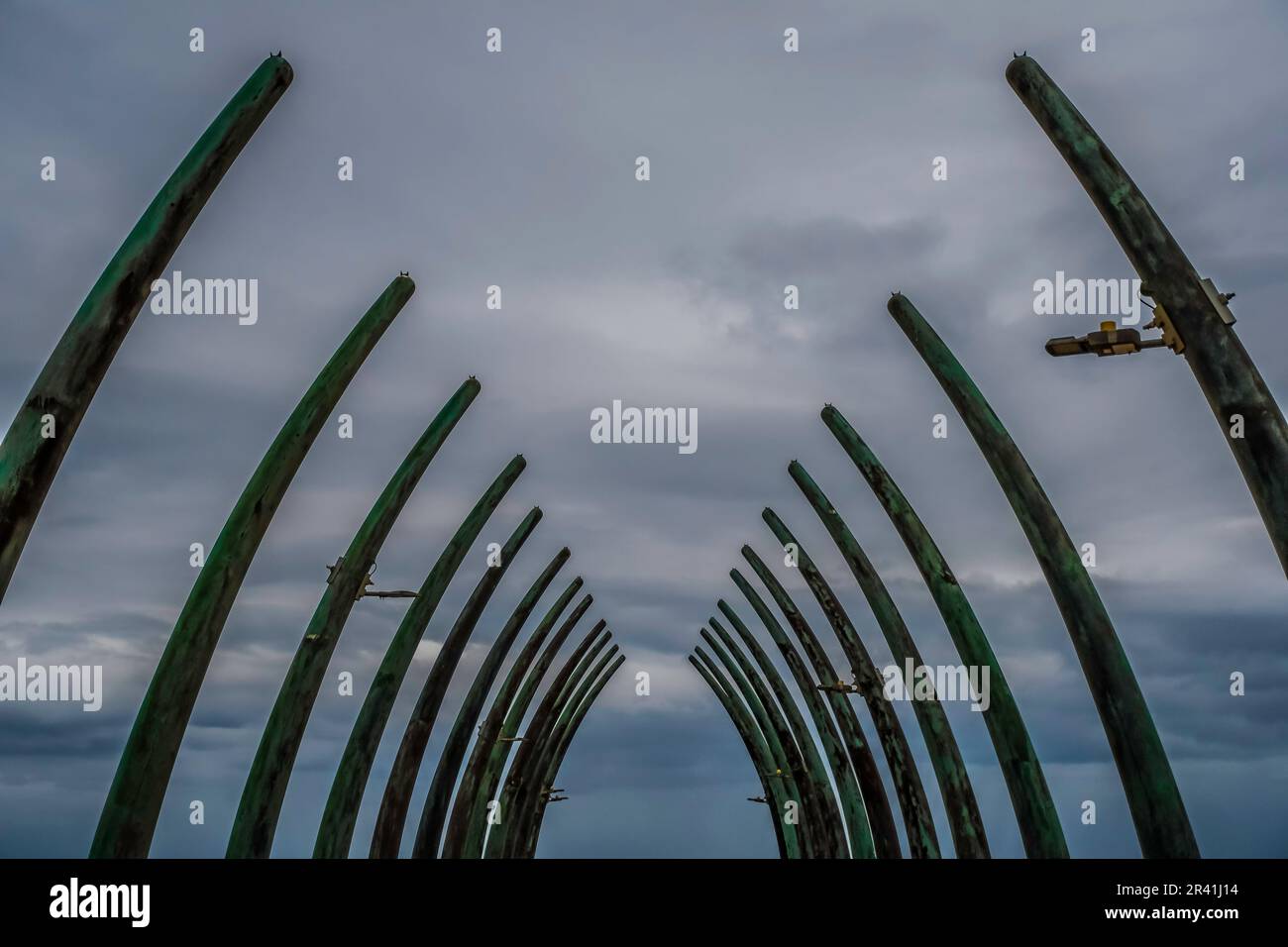 Whale bone bridge hi-res stock photography and images - Alamy
