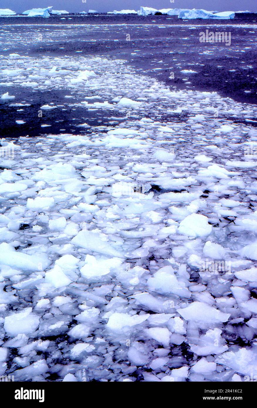 Grahamland Antarctica 1972 loose pack ice and growlers with channels ...