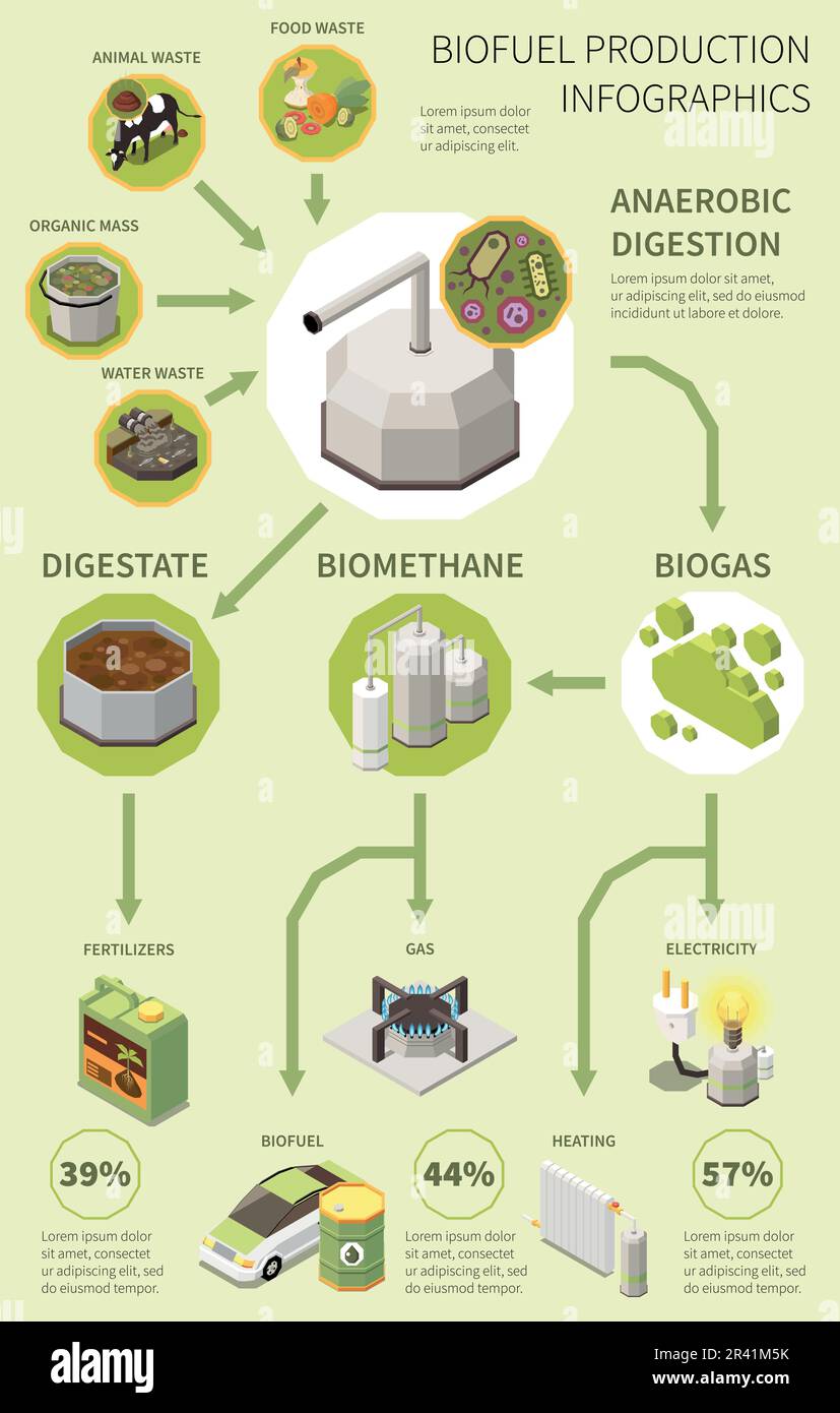 Biofuel infographics poster with production process from organic waste ... Biofuel infographics poster with production process from organic waste ...