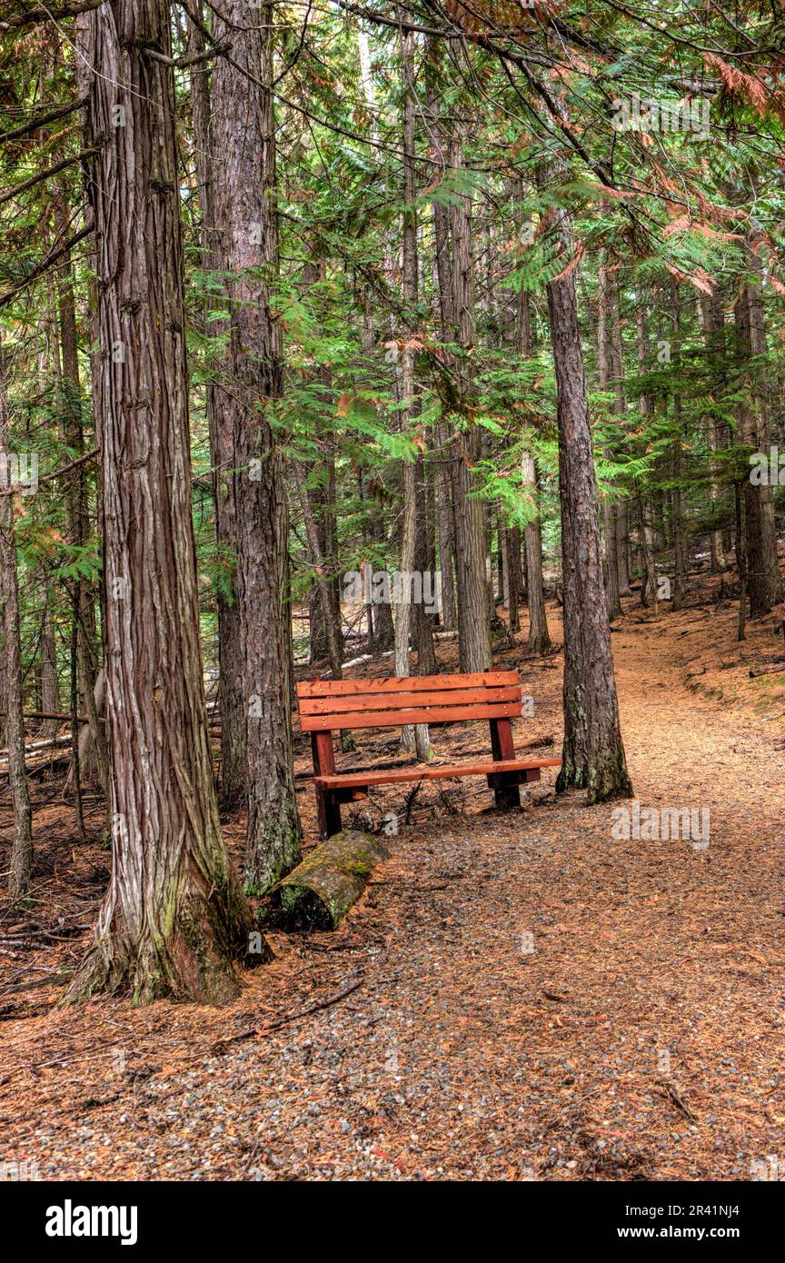 Bench trail hi-res stock photography and images - Alamy