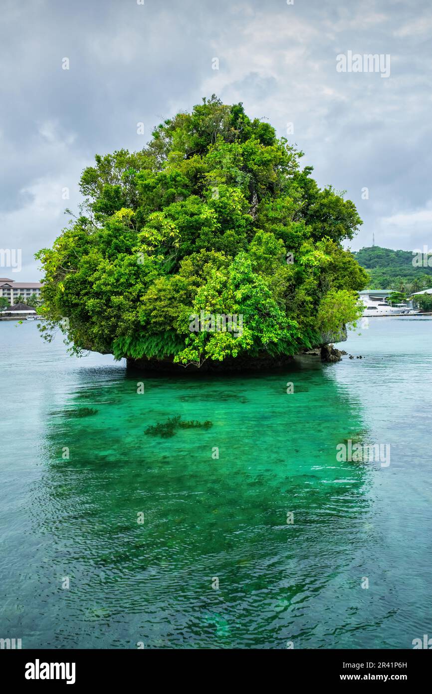 Typical tree covered coral island in the Rock Islands in Palau ...