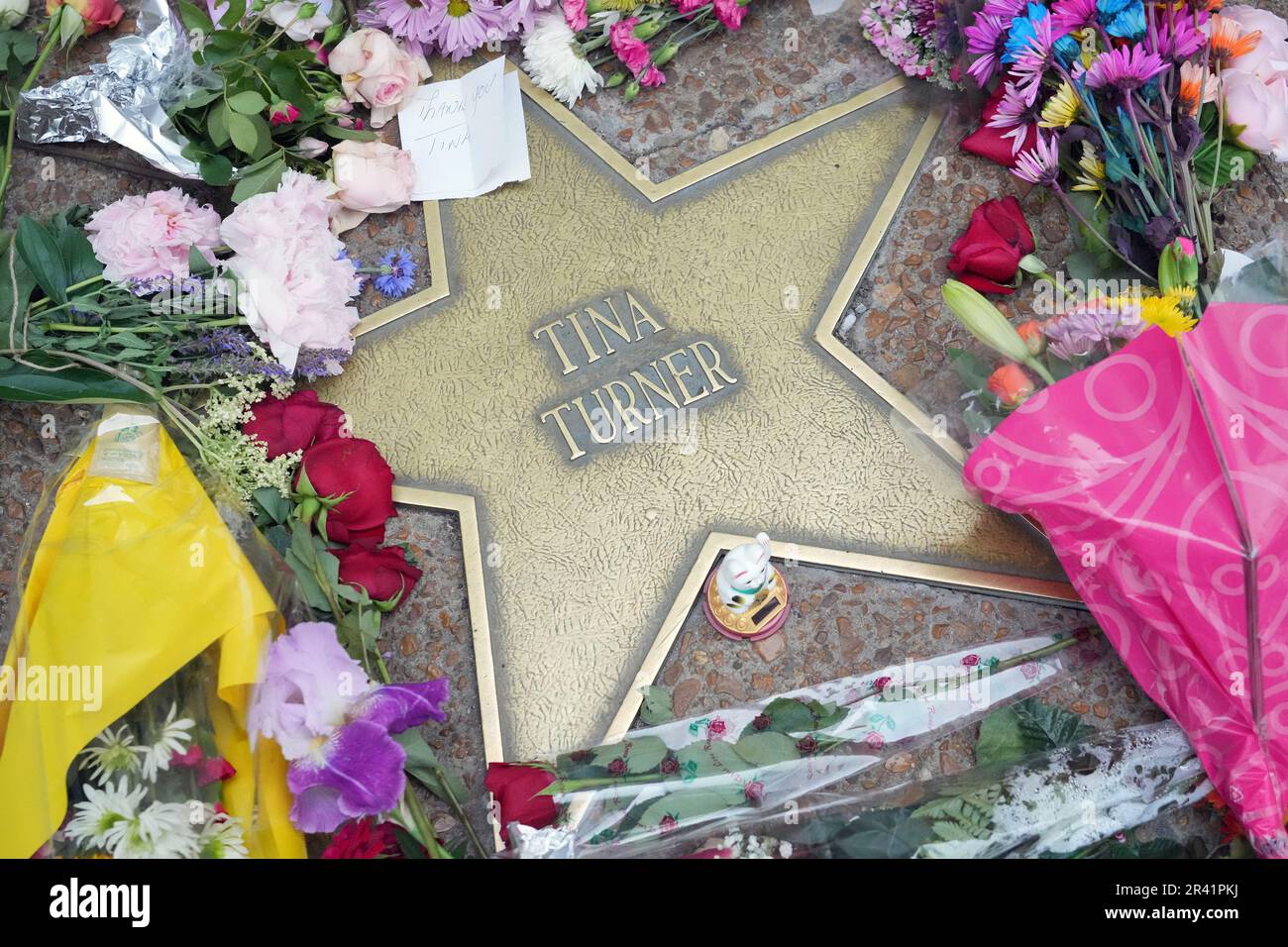 Anna mae bullock hi-res stock photography and images - Alamy