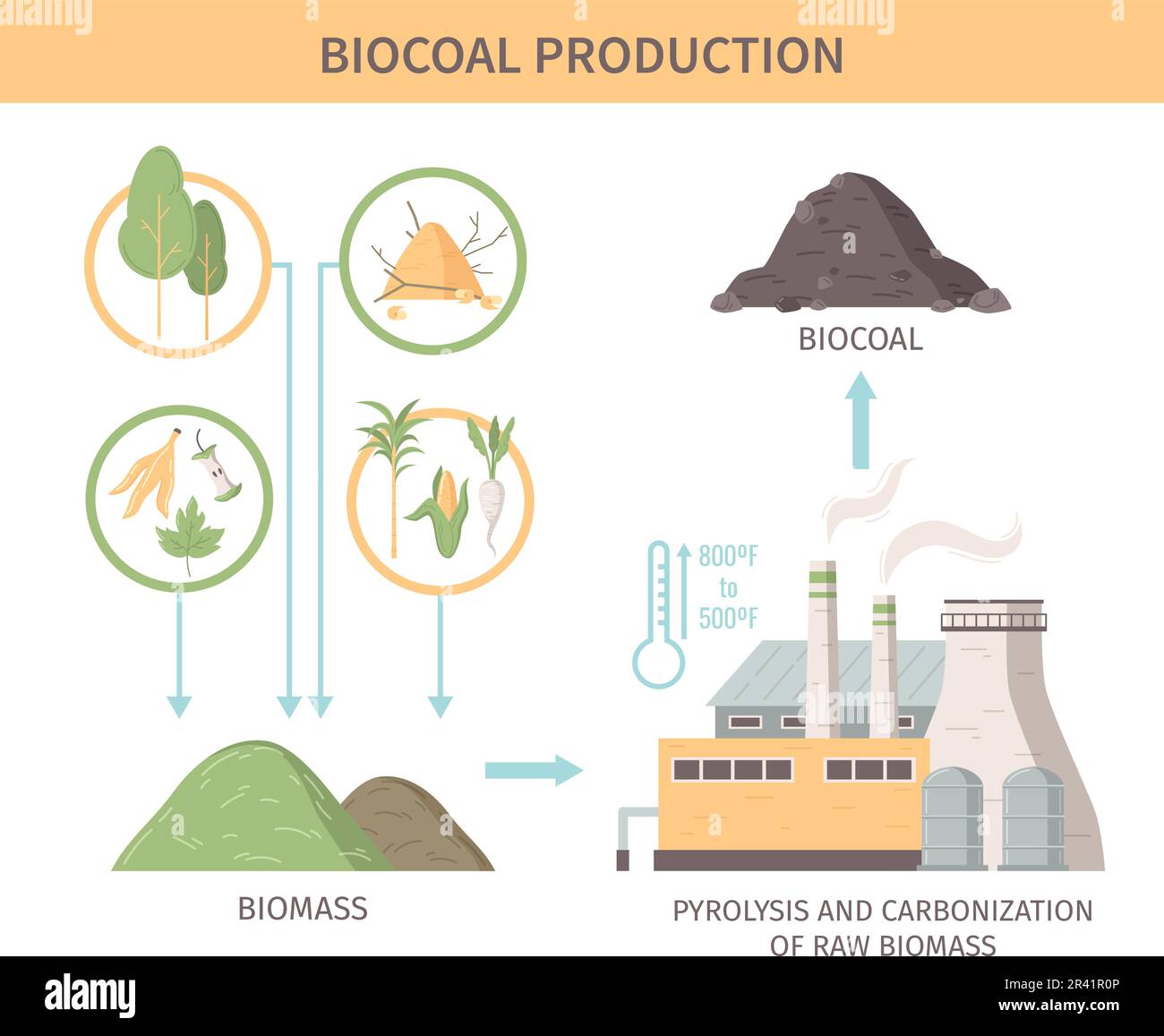 Biomass Biology