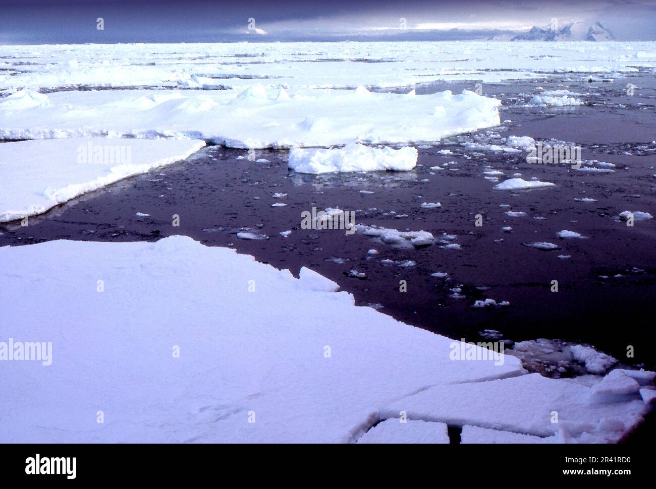 Grahamland Antarctica 1972 pack ice fields during the annual ...