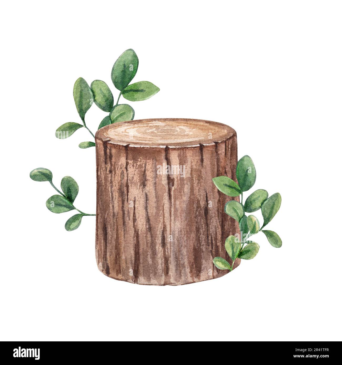 Tree stump on a white background. Watercolor hand drawn illustration of ...