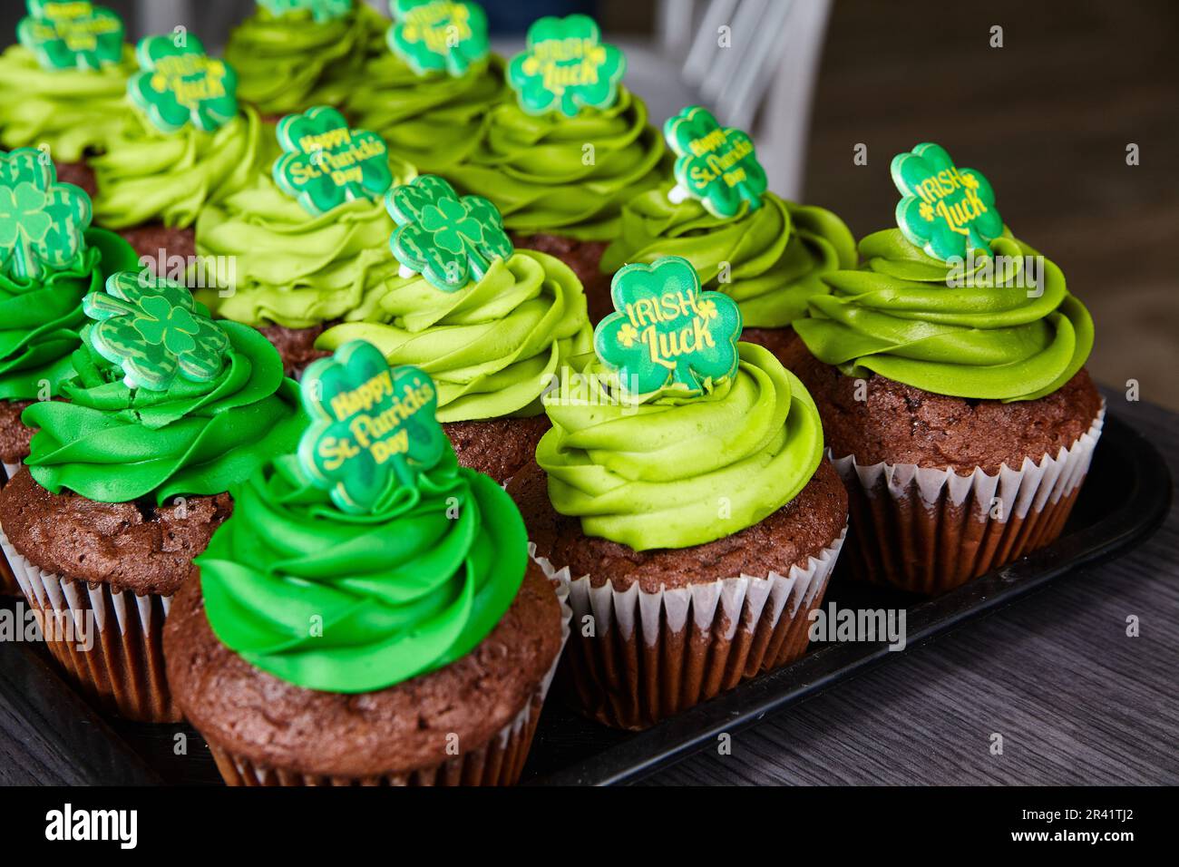 Rows of various green frosting St. Patrick Day chocolate cupcakes Irish ...
