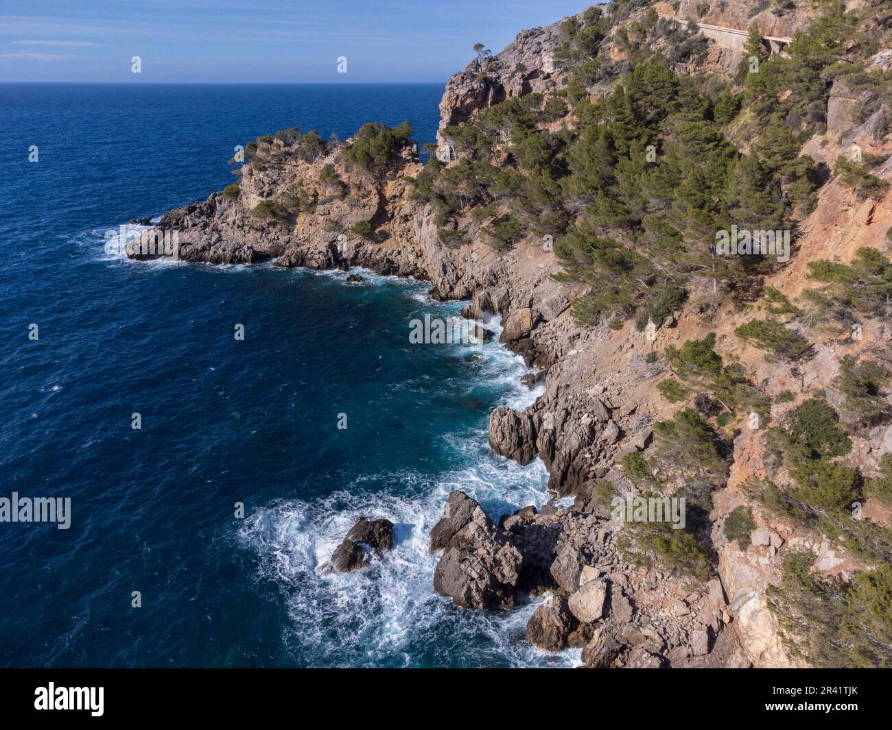 Gall de alcona sser hi-res stock photography and images - Alamy