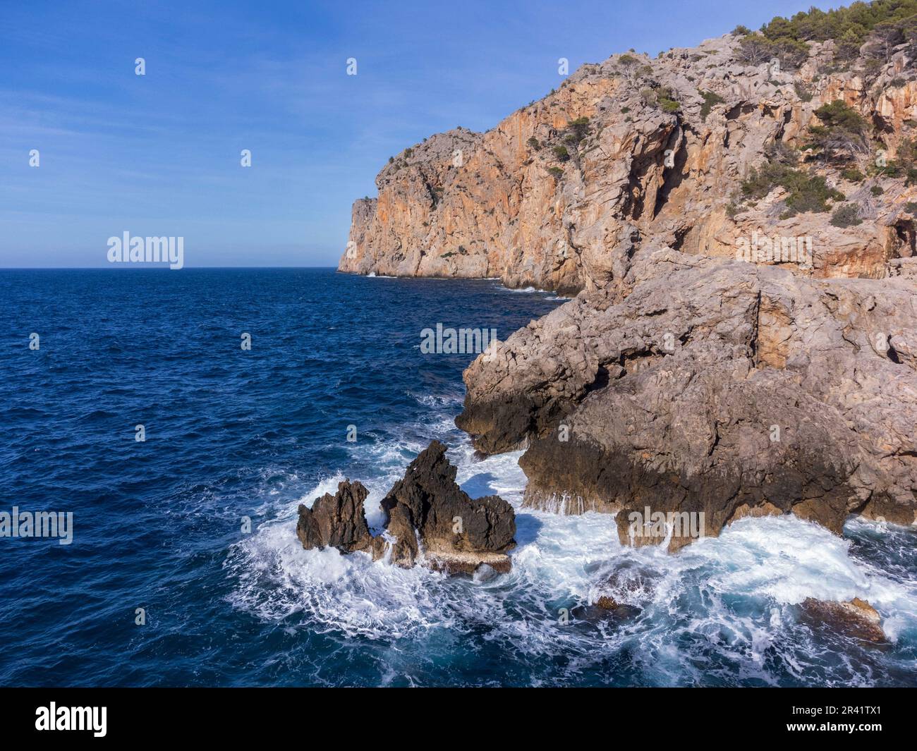 Gall de alcona sser hi-res stock photography and images - Alamy