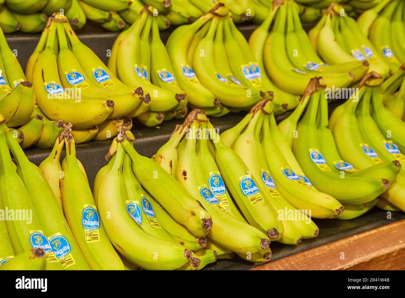 Bundles and bunches of yellow bananas on non-descript black shelf Stock ...