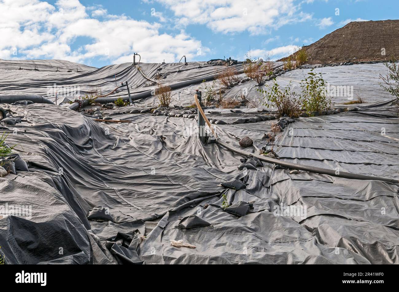 Hoses joining methane gas wells to a trunk line in an active landfill ...