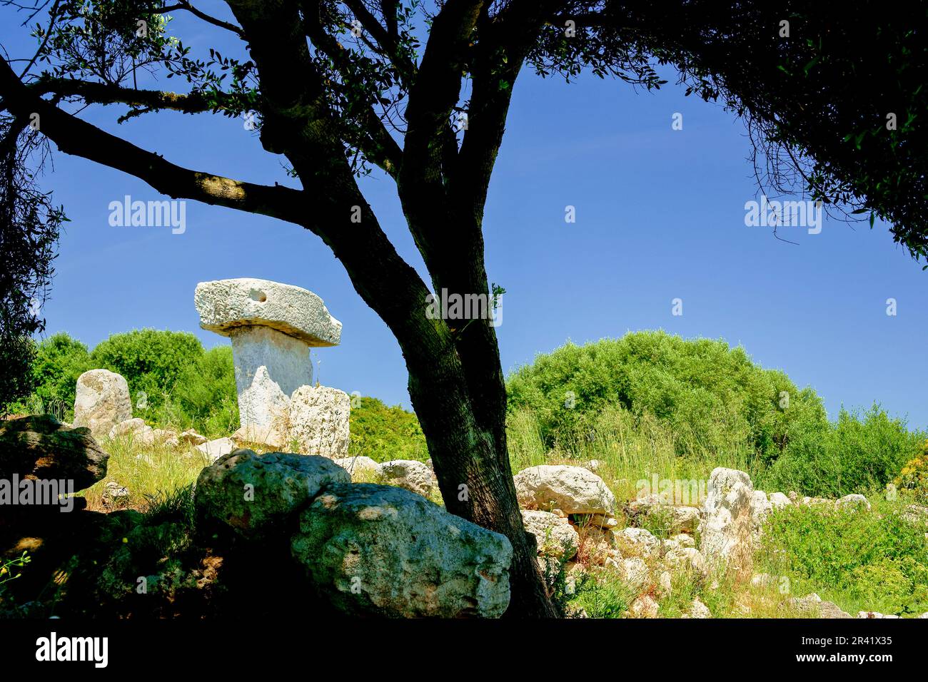 Torreta blanca hi-res stock photography and images - Alamy
