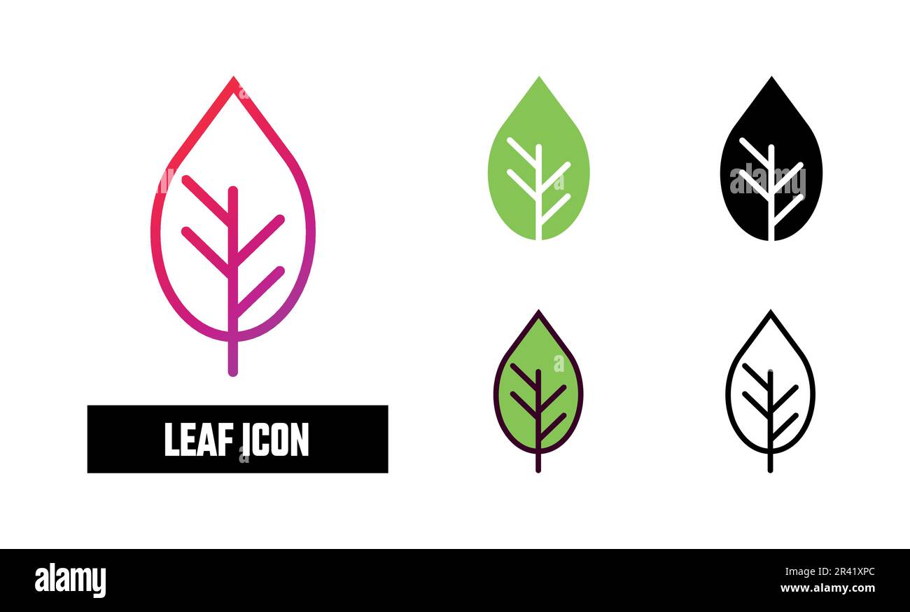 Leaf Icon Set Vector Illustration Stock Vector Image & Art - Alamy