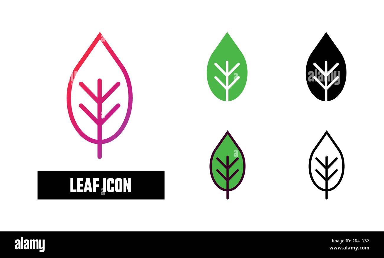 Leaf Icon Set Vector Illustration Stock Vector Image & Art - Alamy