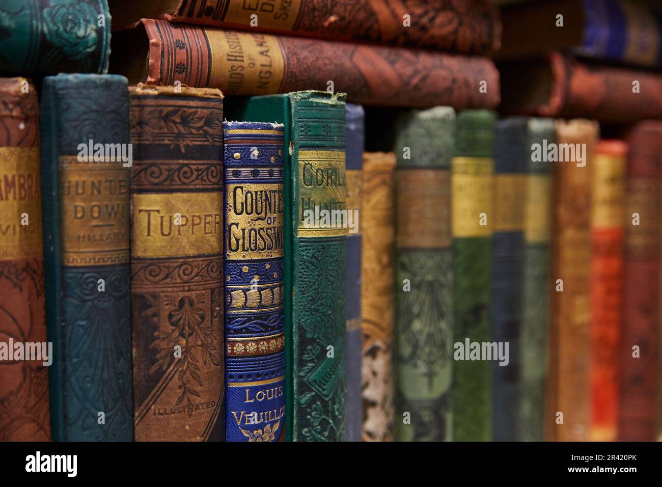 Background asset blurred books on shelf with colorful covers and ...