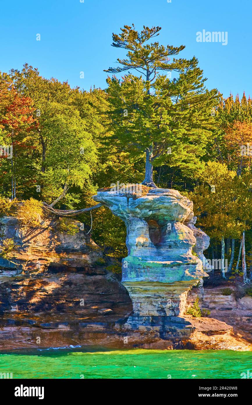 Large tree atop cliff face of white pictured rocks and sea green waters ...