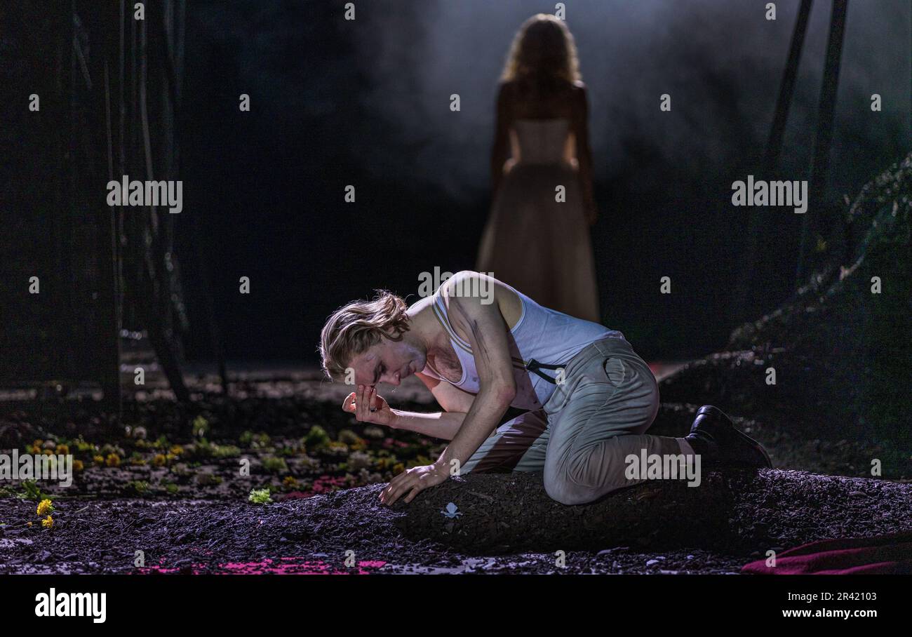 Hamlet by william shakespeare hi-res stock photography and images - Alamy