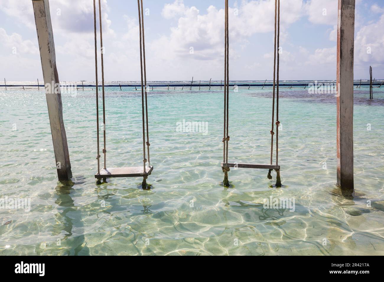 Fly swing hi-res stock photography and images - Alamy