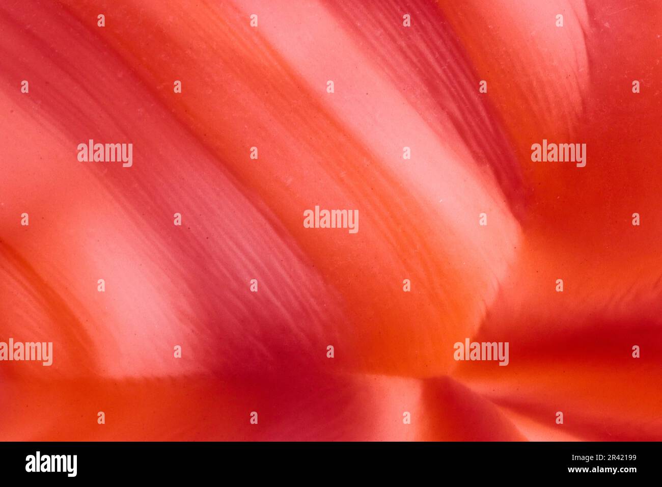 Skittles Candy Brushstroke Lines Horizontal Background Stock Photo - Alamy