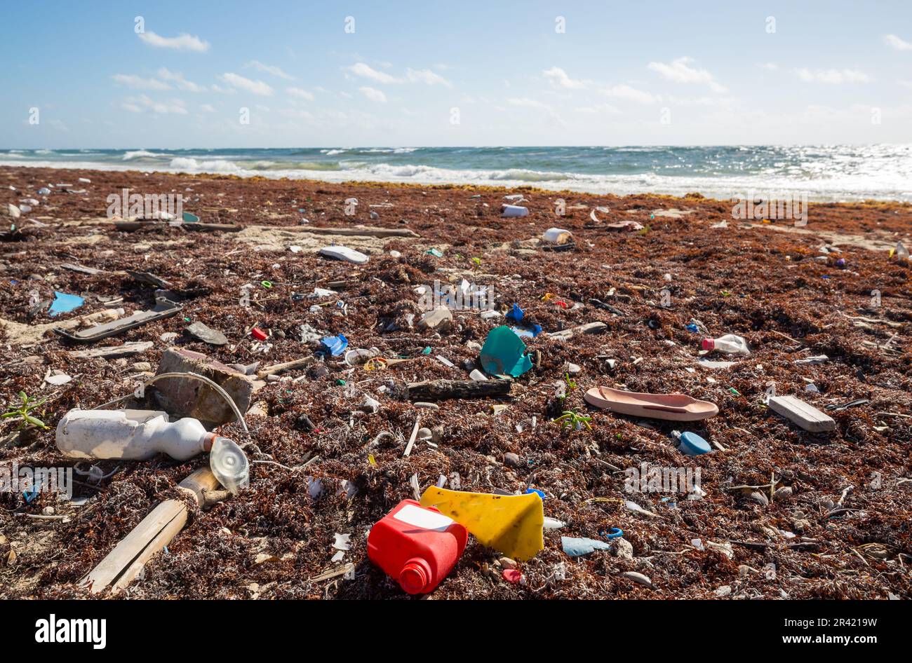 Trash on the beach Stock Photo - Alamy