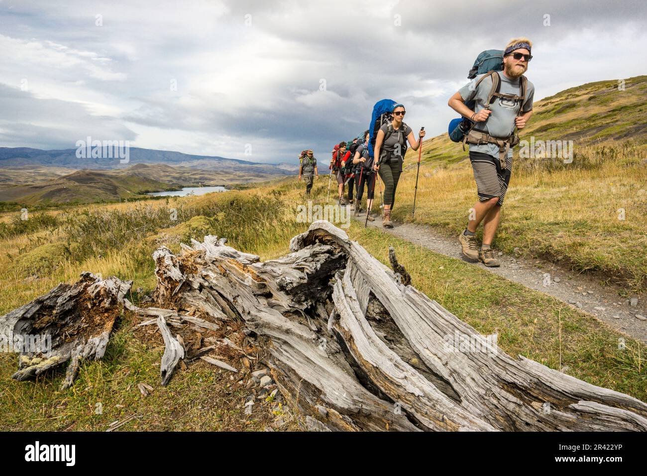 senderistas, trekking W, Parque nacional Torres del Paine,Sistema ...