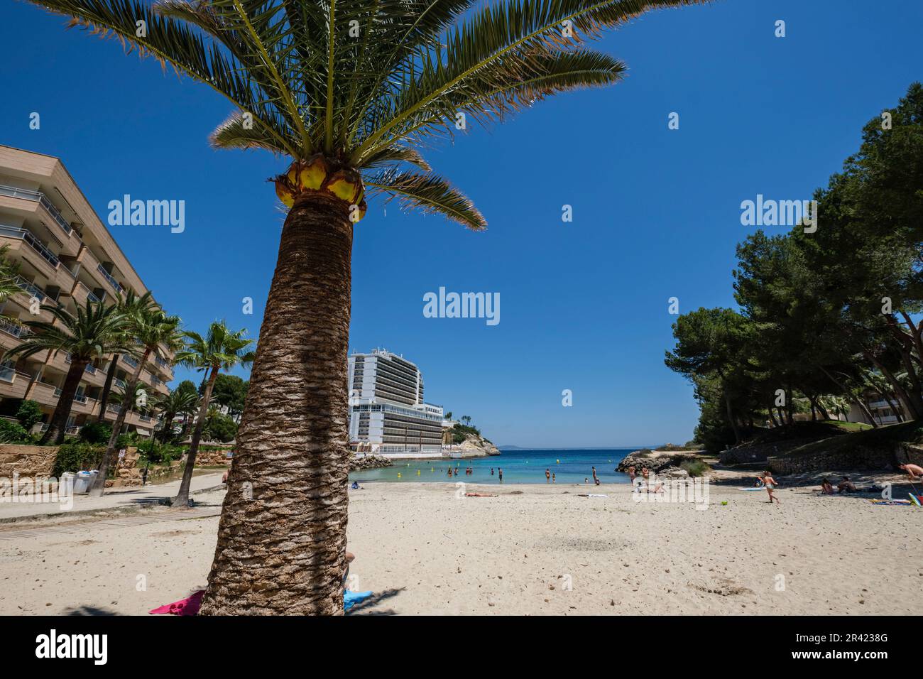 Cala Vinyes, Calvia, Mallorca, Balearic Islands, Spain Stock Photo - Alamy