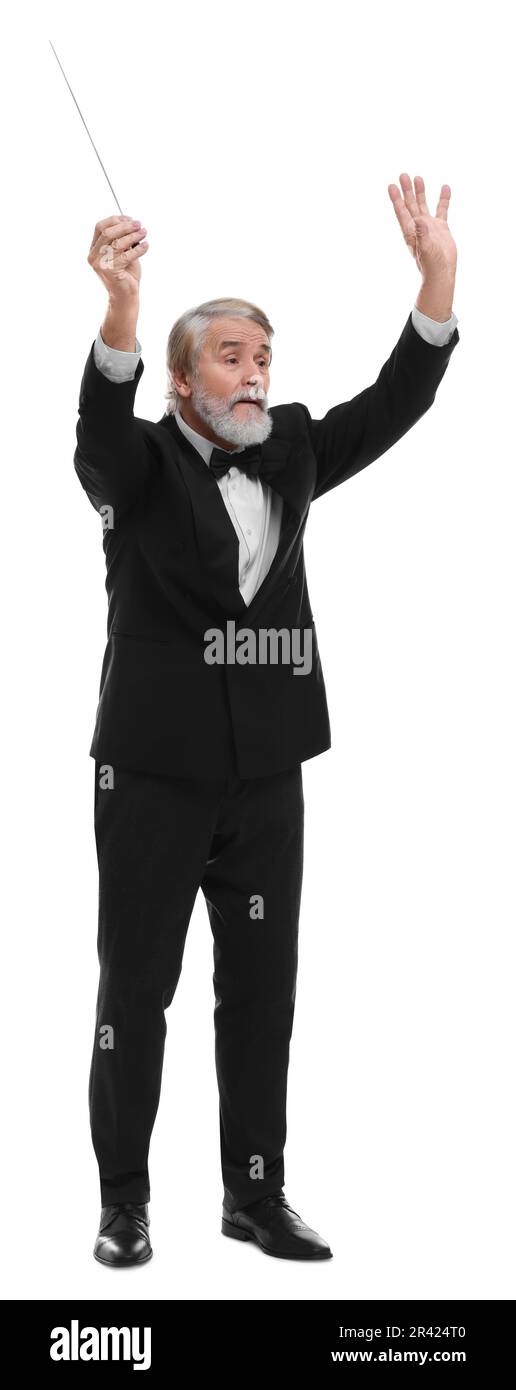 Professional conductor with baton on white background Stock Photo - Alamy