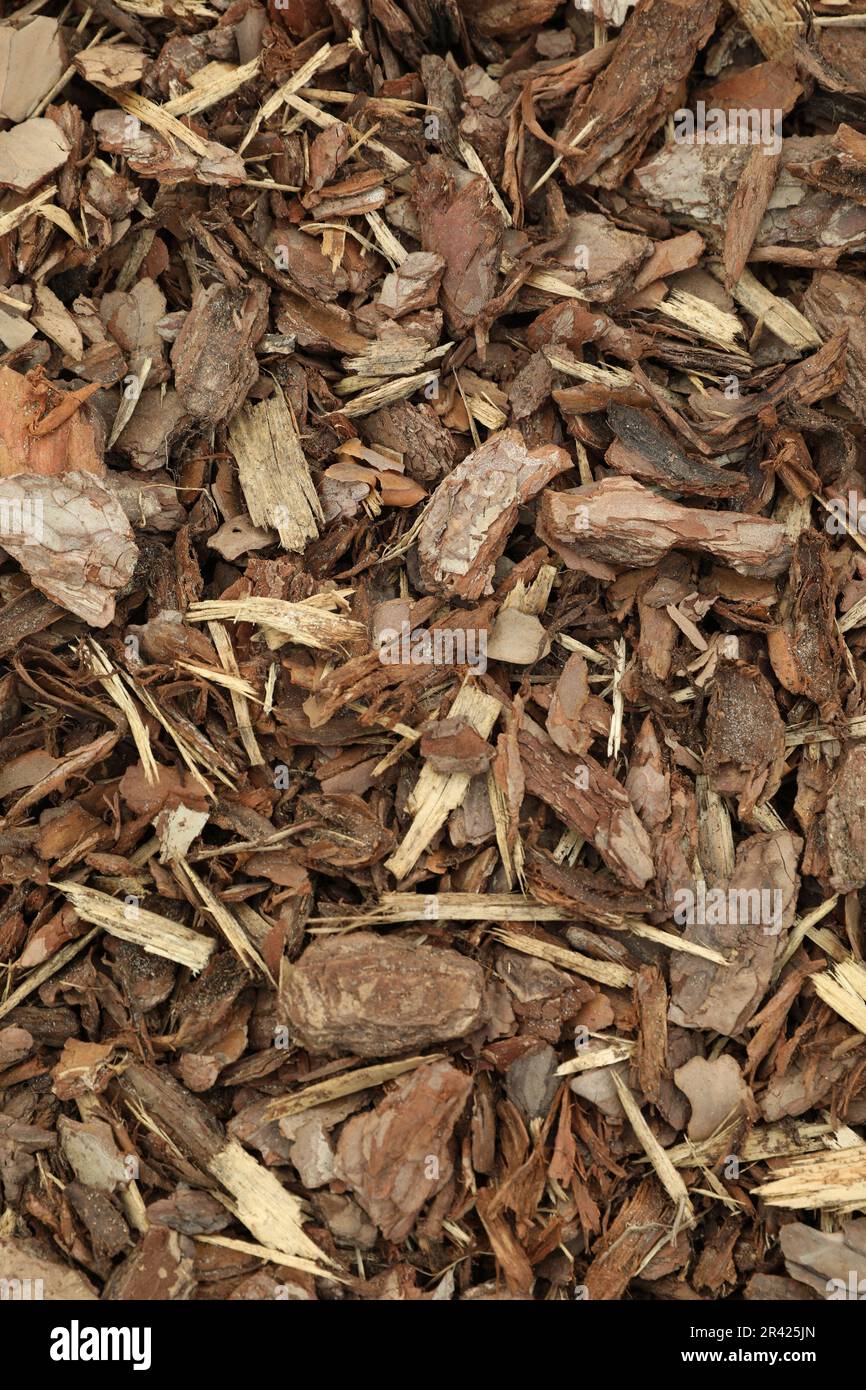 Tree bark pieces hi-res stock photography and images - Alamy