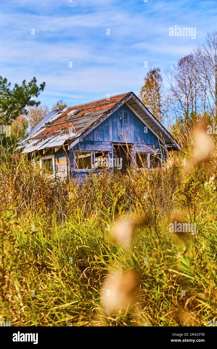 Abandoned urban building structure destroyed with overgrowth and field ...