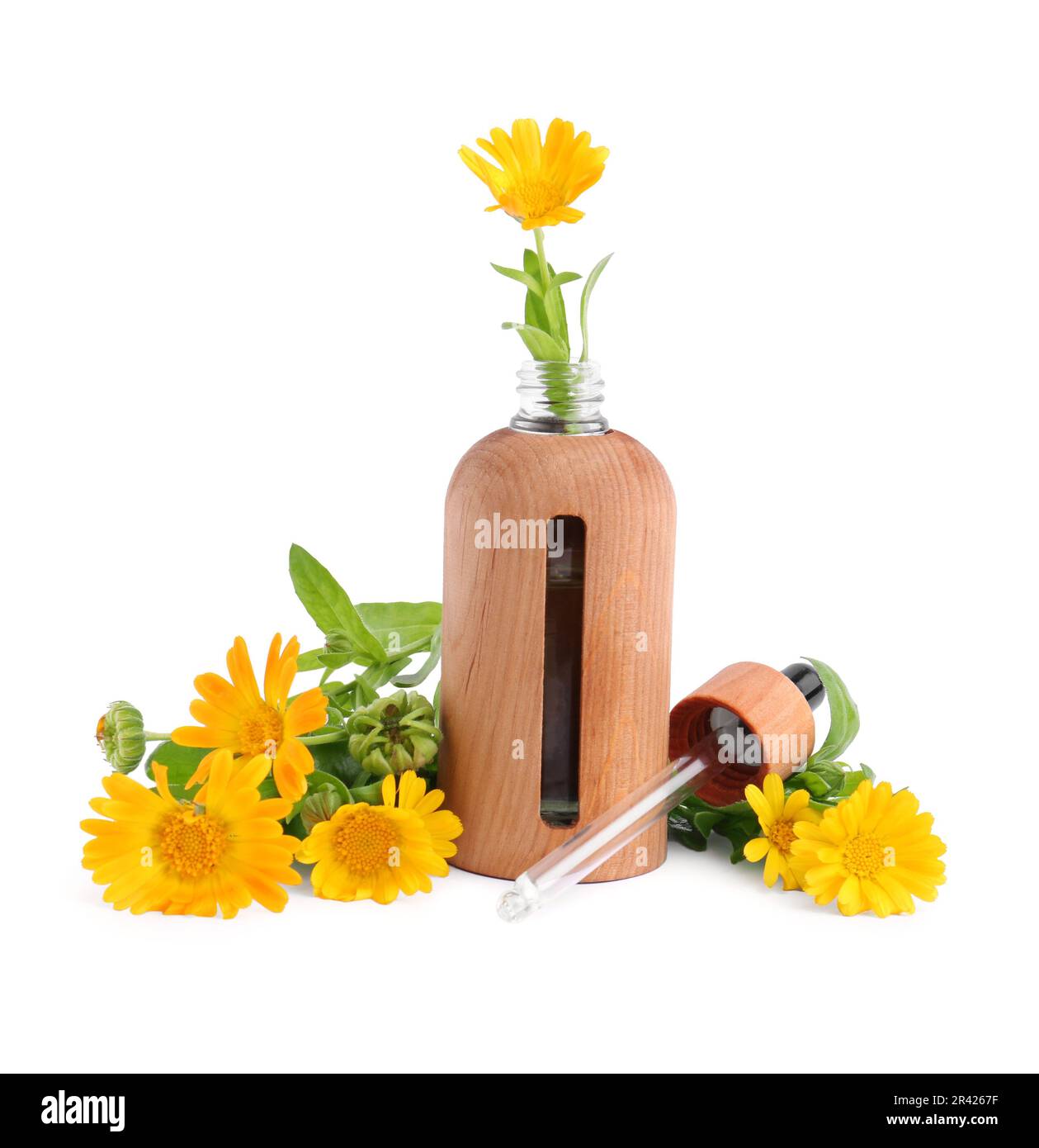 Bottle of essential oil and calendula flowers on white background Stock ...
