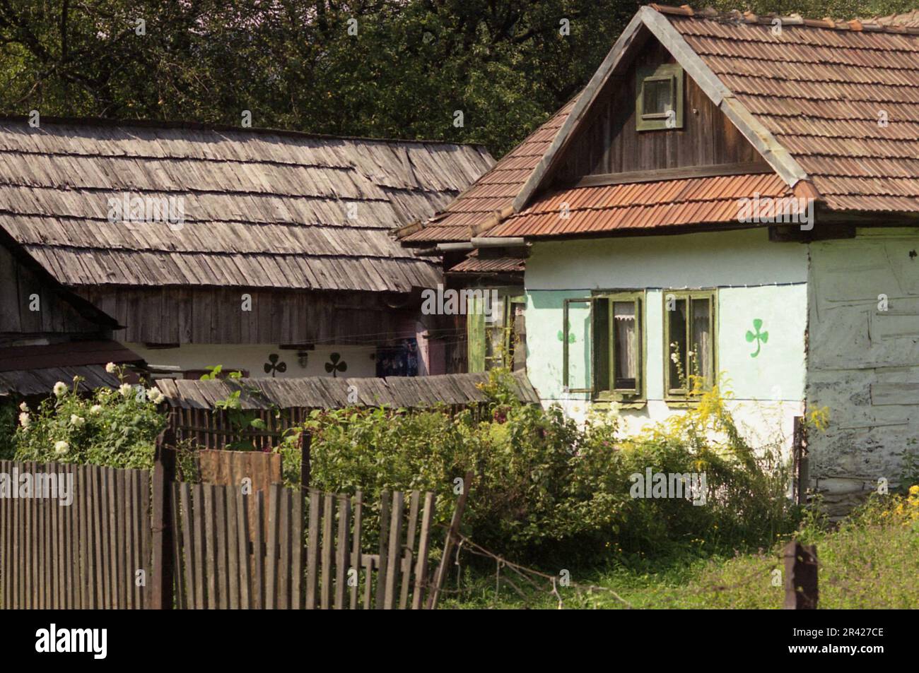Maramures County, Romania, 2001. Traditional homestead, with clover ...