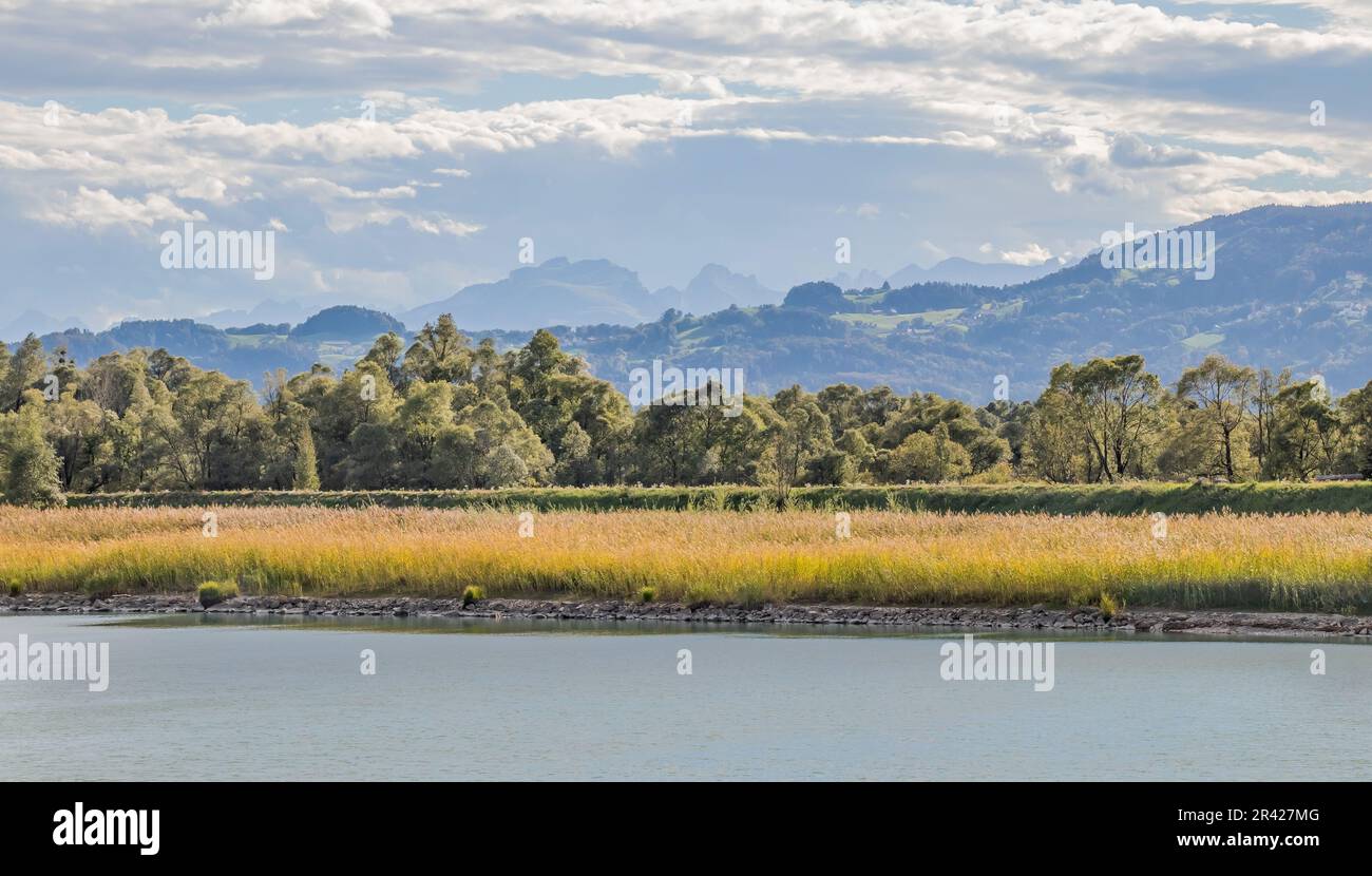 Alpine zone hi-res stock photography and images - Alamy