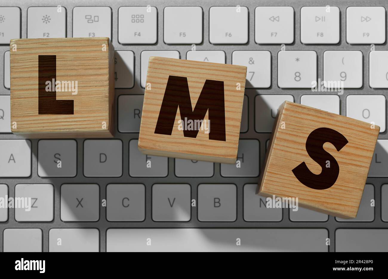 Learning management system. Wooden cubes with abbreviation LMS on ...