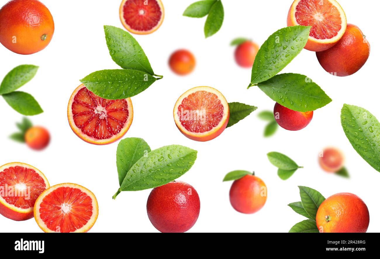 Red oranges with green leaves flying on white background Stock Photo ...