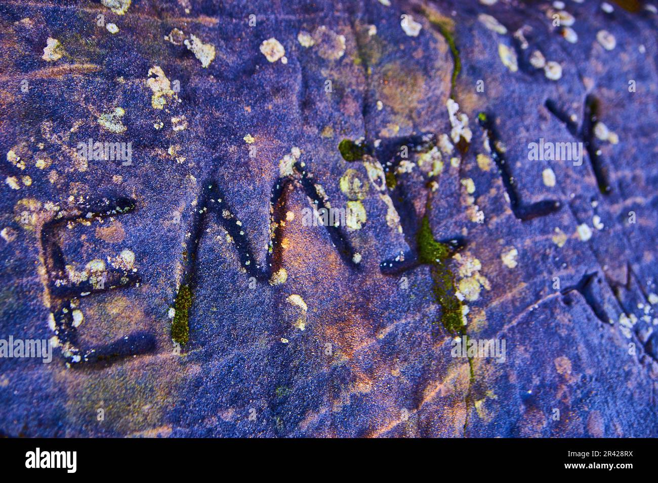 Emily carved into stone with lichen and moss clinging to rock and the ...