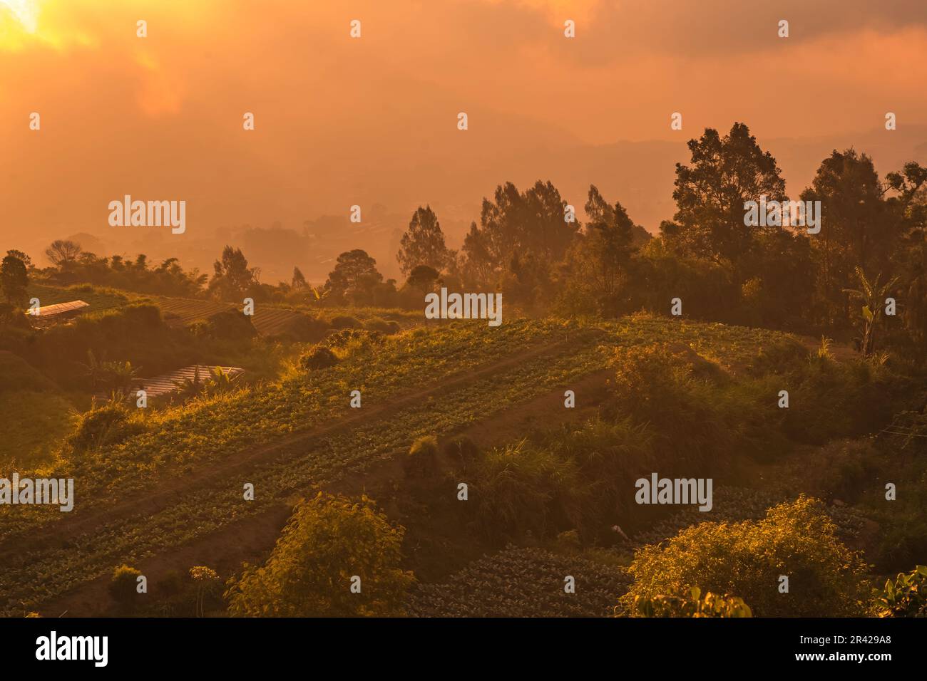 Hazy sunset over green village on the mountain slopes of Merbabu ...
