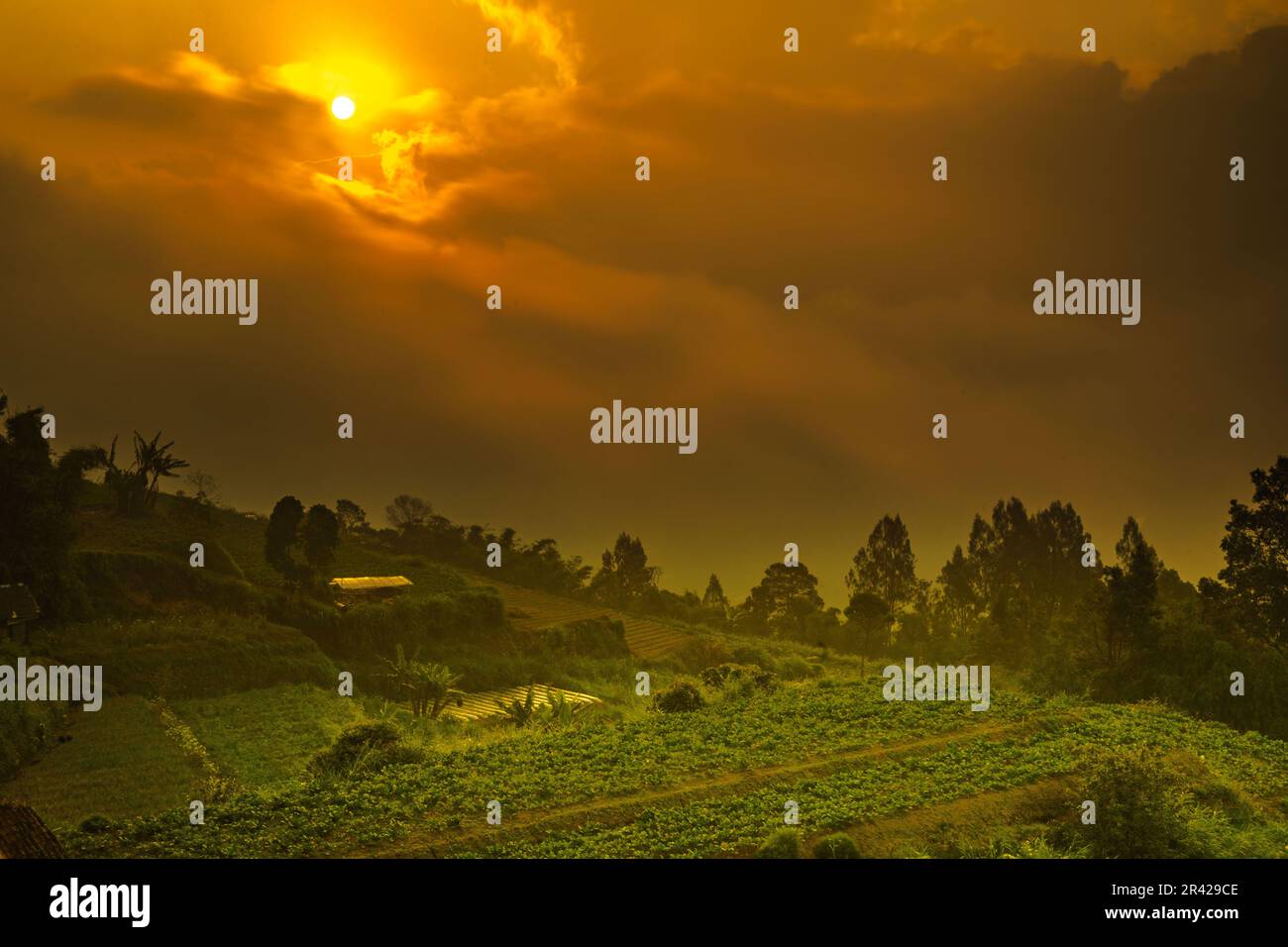 Merbabu peak hi-res stock photography and images - Alamy