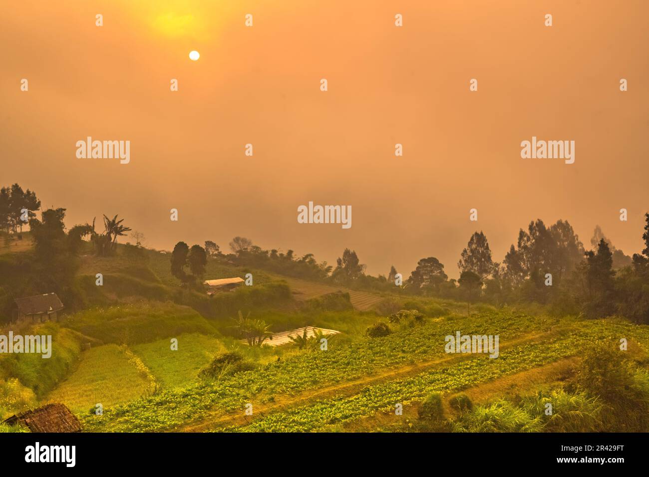 Merbabu peak hi-res stock photography and images - Alamy