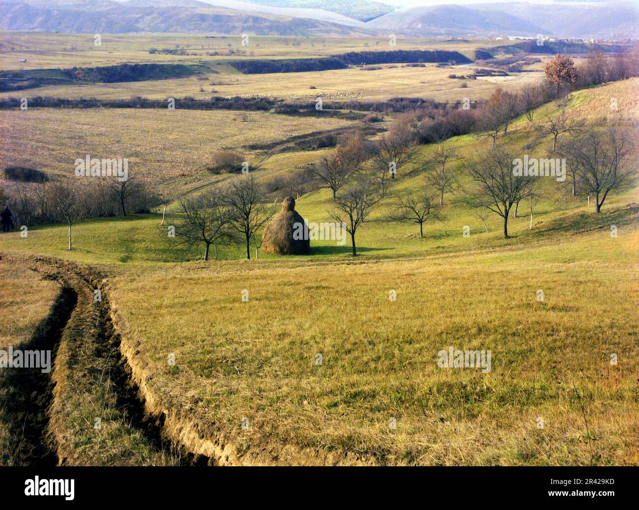 Agriculture haystack hi-res stock photography and images - Alamy