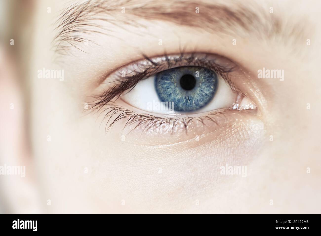 Macro Photography Blue Eye